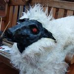 A Sheepish Co-Star: Puppets in The Second Shepherds' Play | Folger ...