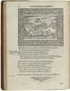 Birds of Shakespeare: The magpie | Folger Shakespeare Library