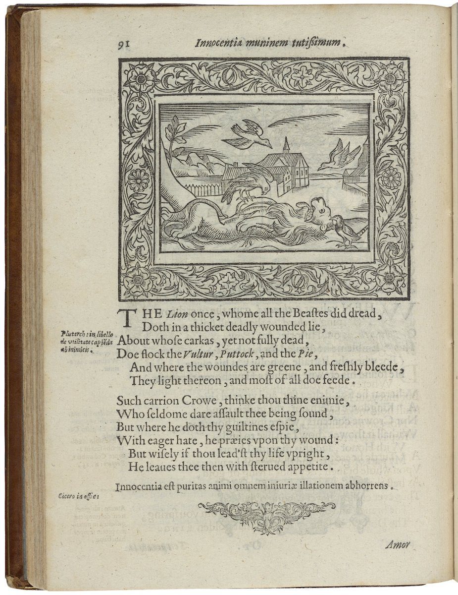Birds of Shakespeare: The magpie | Folger Shakespeare Library