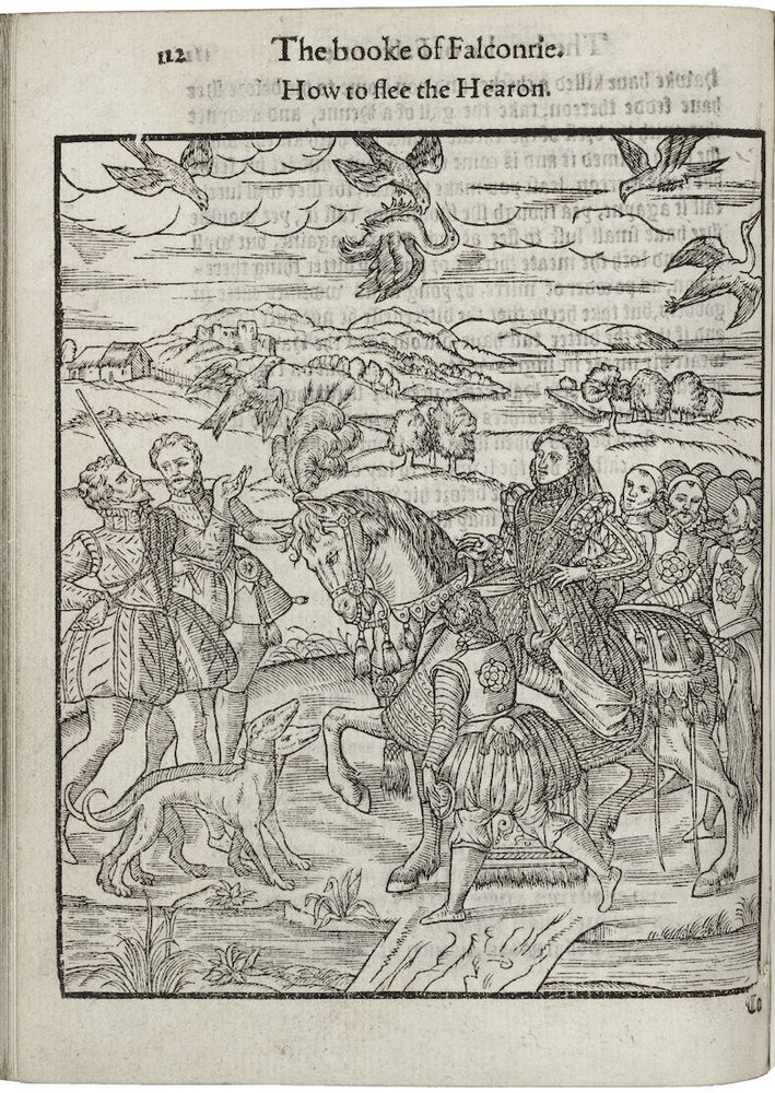 Birds of Shakespeare: The grey heron | Folger Shakespeare Library