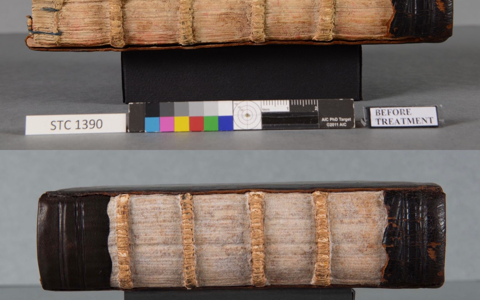 Caring for our collections | Folger Shakespeare Library